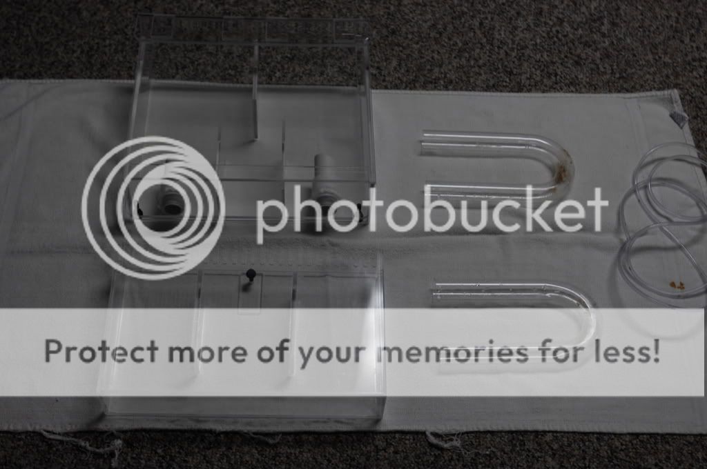 Lifereef HOB overflow-Octopus Skimmer- Giesemann 250w MH | Michigan Reefers